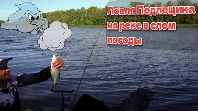 Ловля подлещика на реке в слом погоды