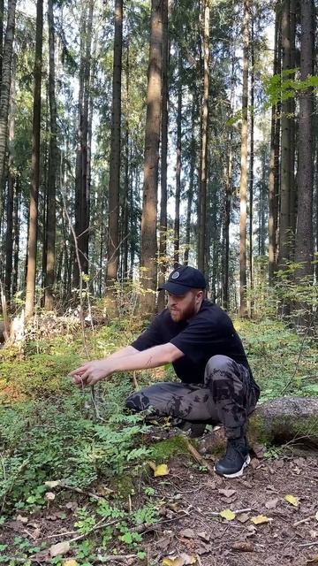 С помощью проводных наушников можно добыть еду  #shorts #юмор #выживание #природа