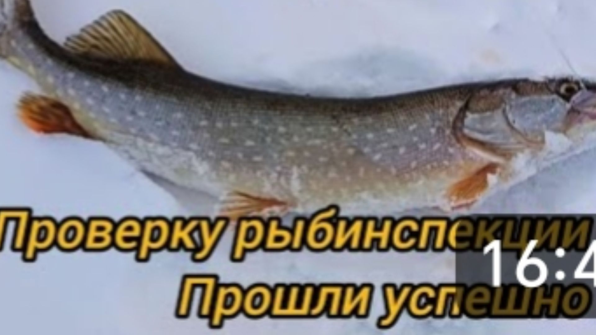 ПРОВЕРКУ НА РЫБАЛКЕ 🎣 ПРОШЛИ УСПЕШНО 🐠🐟 РЫБАЛКА В ТАМБОВСКОЙ ОБЛАСТИ, РЫБАЛКА 68.