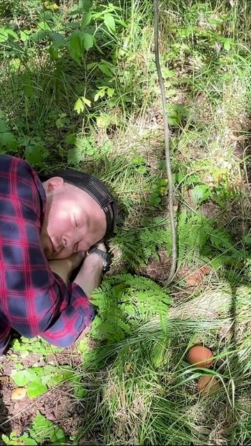 Как найти еду в лесу #shorts  #выживание #юмор