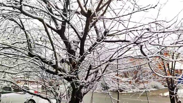 Майкоп, Первый снег