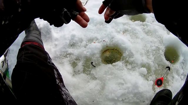 ЛОВИМ УКЛЕЙКУ ! ЧКАЛОВКА