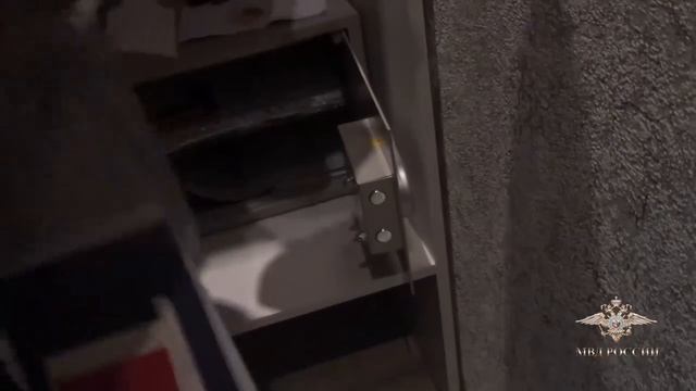 В Ульяновской области полицейские выявили преступное сообщество теневых банкиров