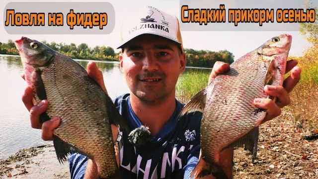 Ловля на фидер осенью  Сладкий прикорм