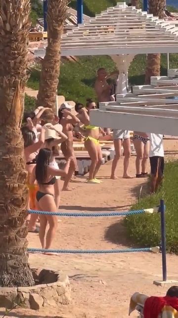 Анимация в отеле Grand Oasis в Египте