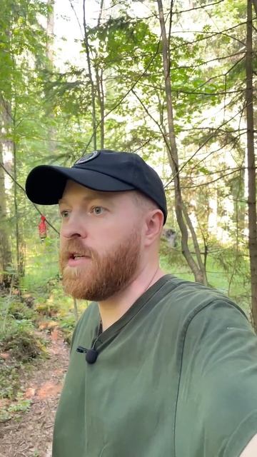 Опасная находка в лесу  #shorts #находка #лес #юмор