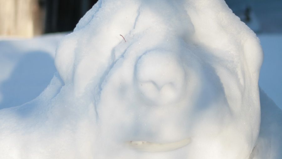 СТО ЦВЕТОВ И ДАЛЬТОНИКИ. Ром 10