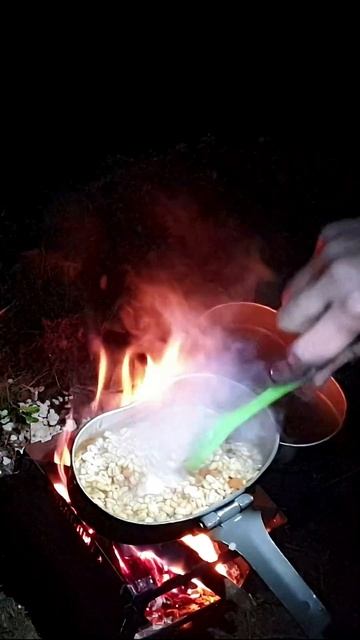 В лесу время работает по другим законам физики  #shorts  #природа  #юмор #философия