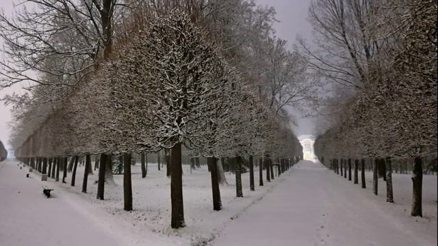 Запах осени кружит