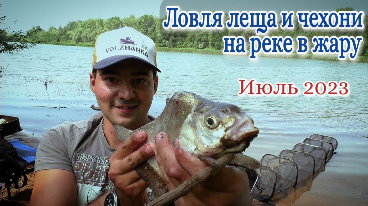 Ловля леща и чехони в жару на реке.