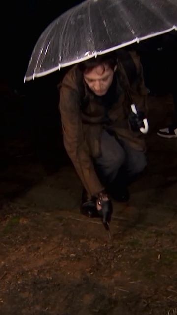 Игра "Небеса". Юмор [133]