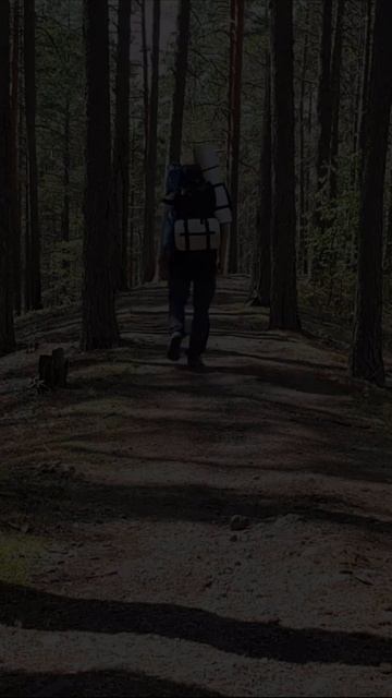 Поход - это замечтательно, но есть нюанс #поход #юмор #shorts  #природа