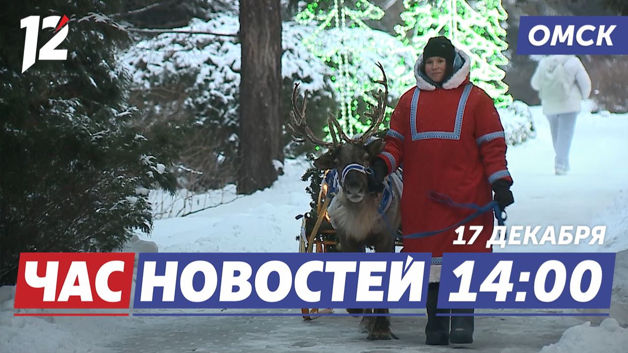 Резиденция Деда Мороза / Реабилитация бойцов СВО / Весёлые праздники для школьников. Новости Омска