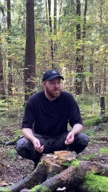 Дерзкий волк мешал снимать влог  #shorts  #отдых #юмор #природа