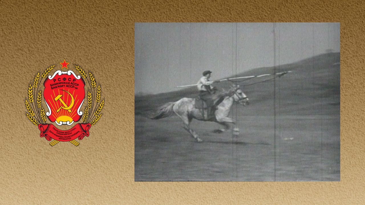 Советская Башкирия. Лошадиный табун (1950-е)