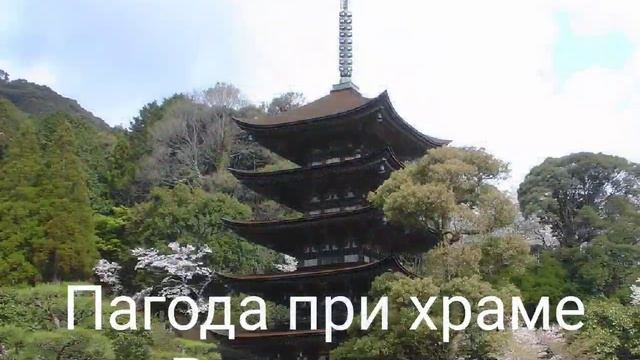 Чудеса Страны восходящего солнца