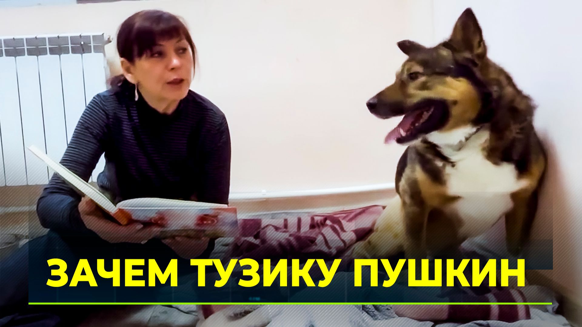 Собакам из приюта читают сказки и стихи