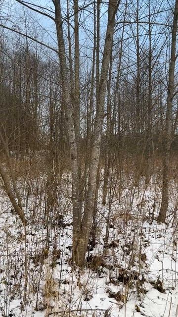 АКЦИЯ!!! 30% скидка!!! Продается участок 8 соток в снт Искож-6, Александровский район, Влад.обл.