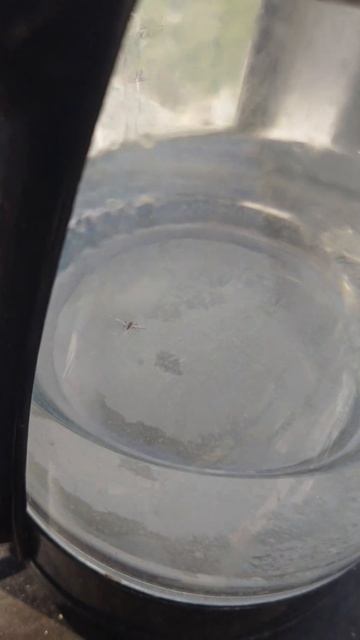 Гоша как же так...  #работа #крановщик #стройка