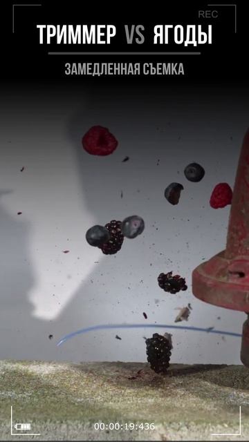 Триммер против ягод в Супер замедленной съемке