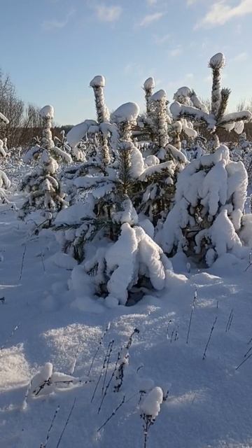 Зимняя сказка декабря.
