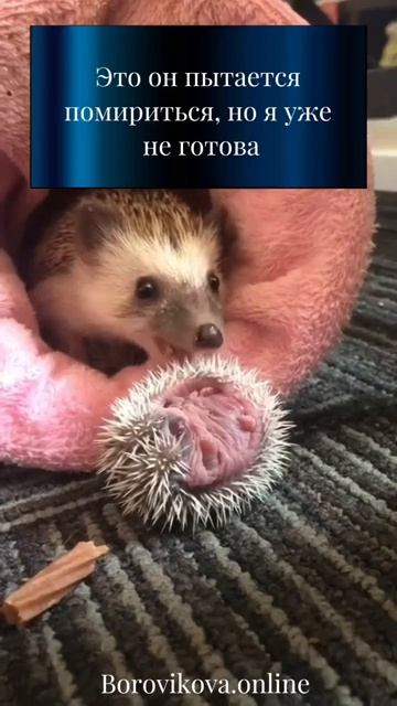 #разрыв #расхождение #выбор #границы #отказ #невозврат #осознание #зрелость #выход #решение