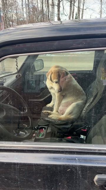 Лайфхак про кофе. anzl.ru