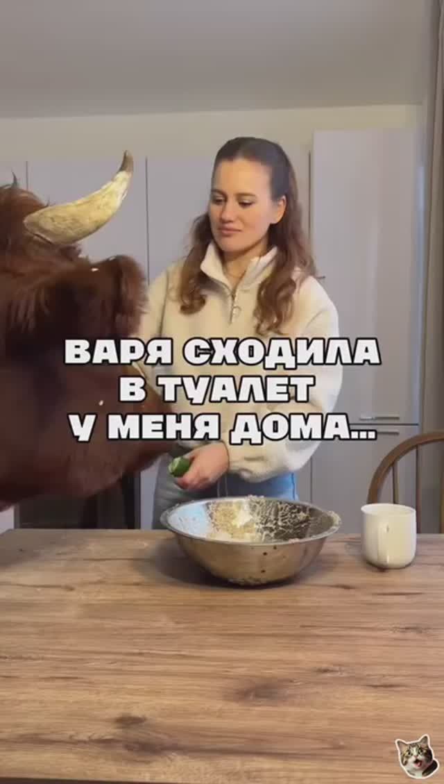 Новый тренд. Заводить коров дома!