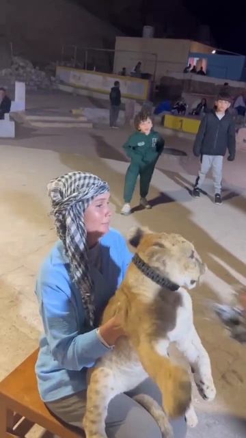 Отдыхаем в Египте