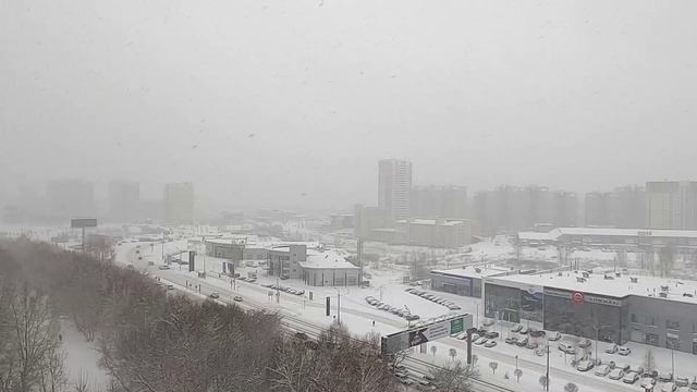 Жизнь с одной почкой