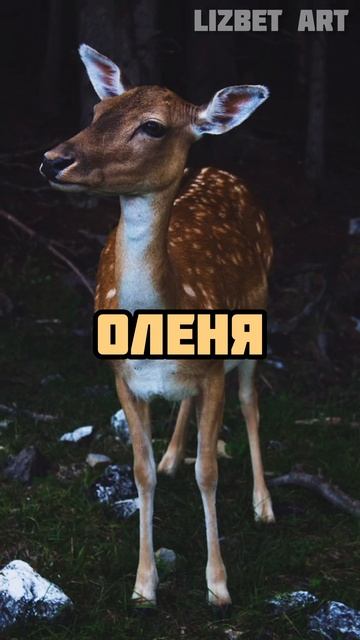 Рисую несуществующее животное🐕+🦌=❓(ч.115) #tiktok #shorts #art #gouach