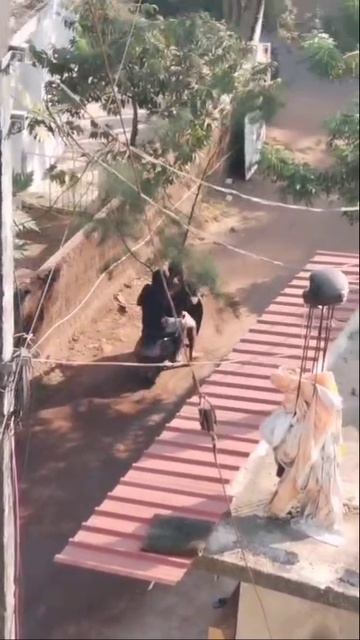 ГОА Елка НА НОВЫЙ год