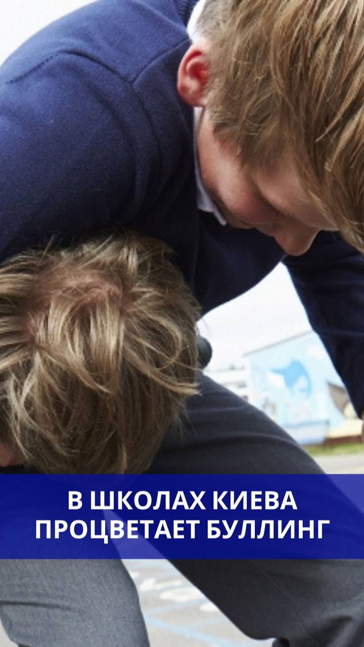 Культ буллинга и насилия процветает в школах на Украине