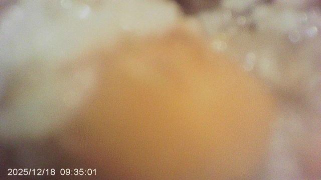 Сварил постную овсяную кашу с тыквой и яблоком