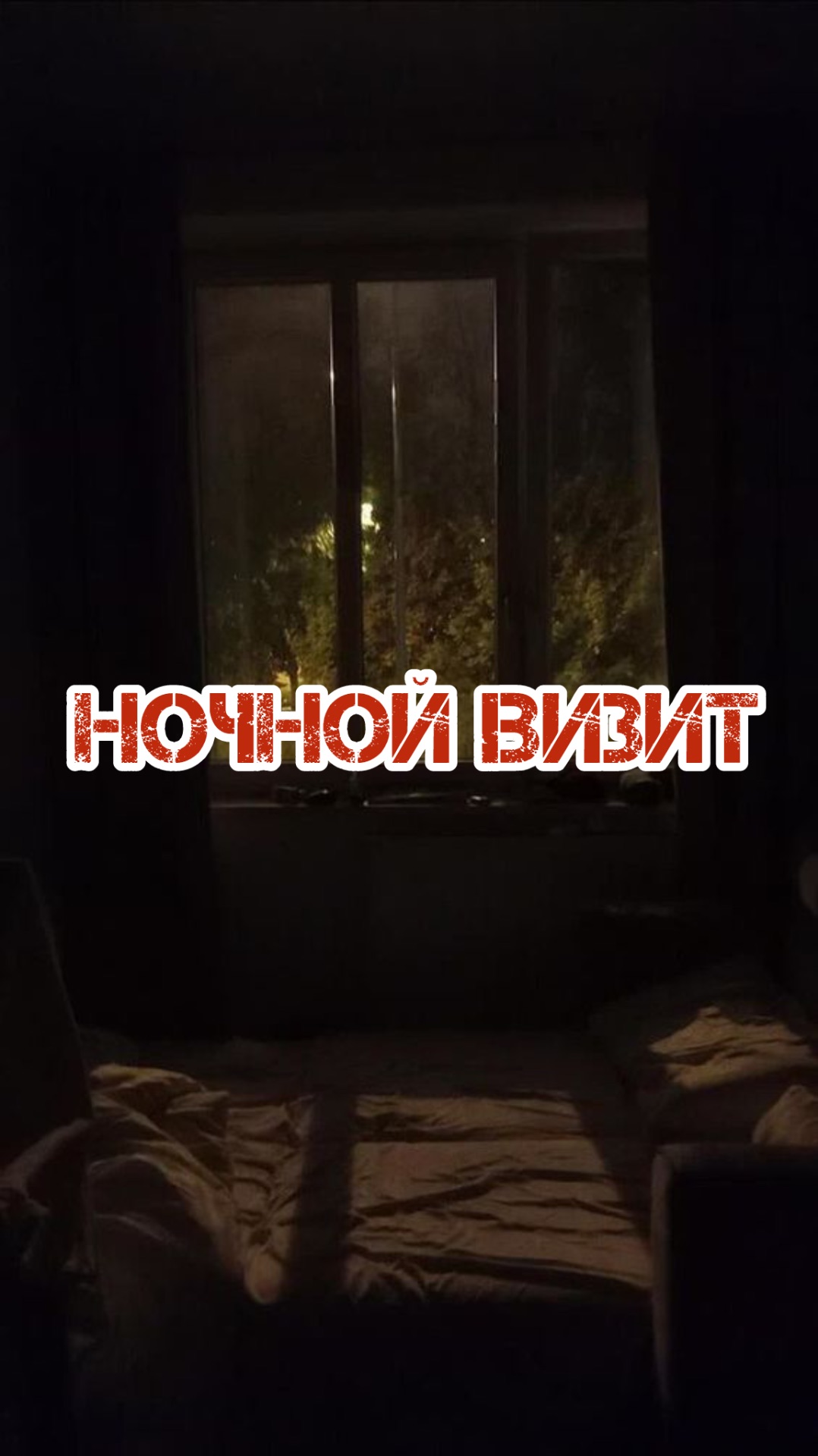 НОЧНОЙ ВИЗИТ