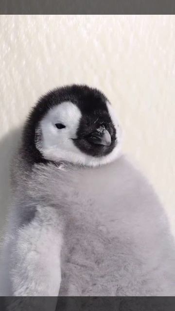 Доброе утро