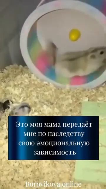 #зависимость #эмоциональность #созависимость #мать #детство #наследование #травма #абьюз #сценарий