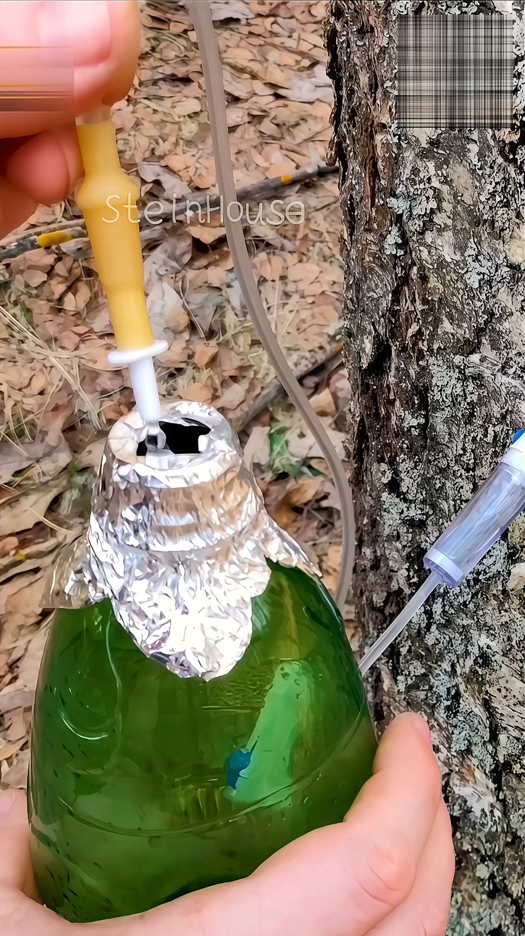 Гениальная идея - Как легко собрать березовый сок #SteinHouse #bushcraft #outdoors