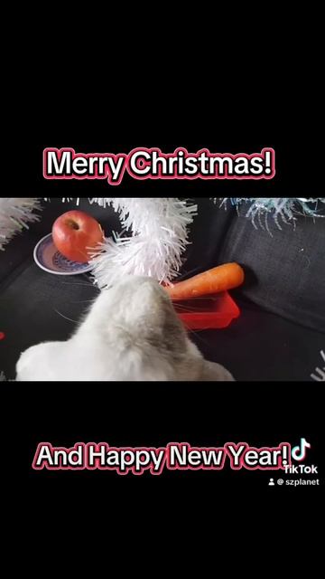 С Праздниками!