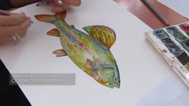 Нерест – путь лосося