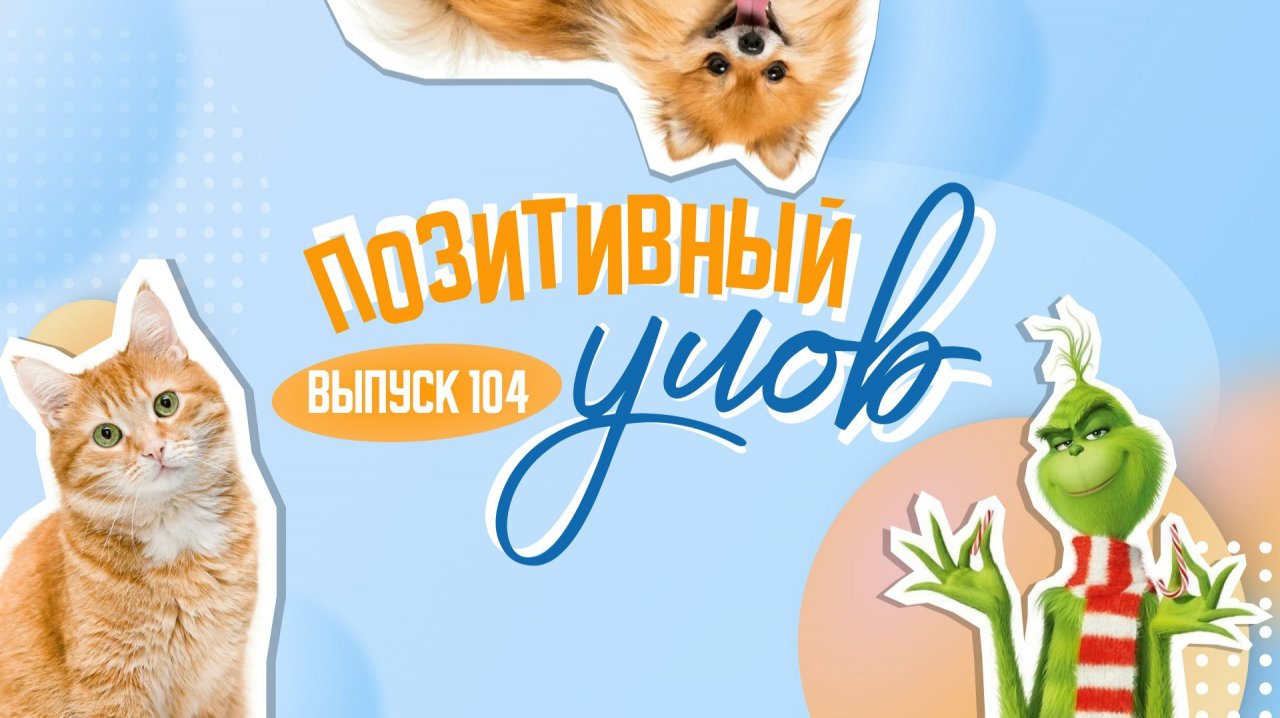 Домашняя корова и маникюр со скумбрией. "Позитивный улов"