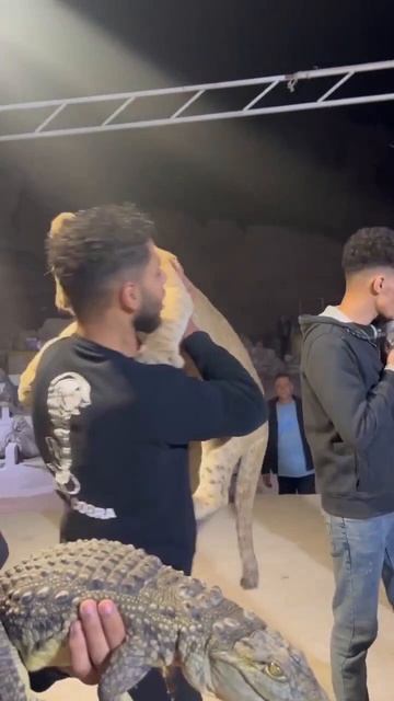 Это Египет 🔥