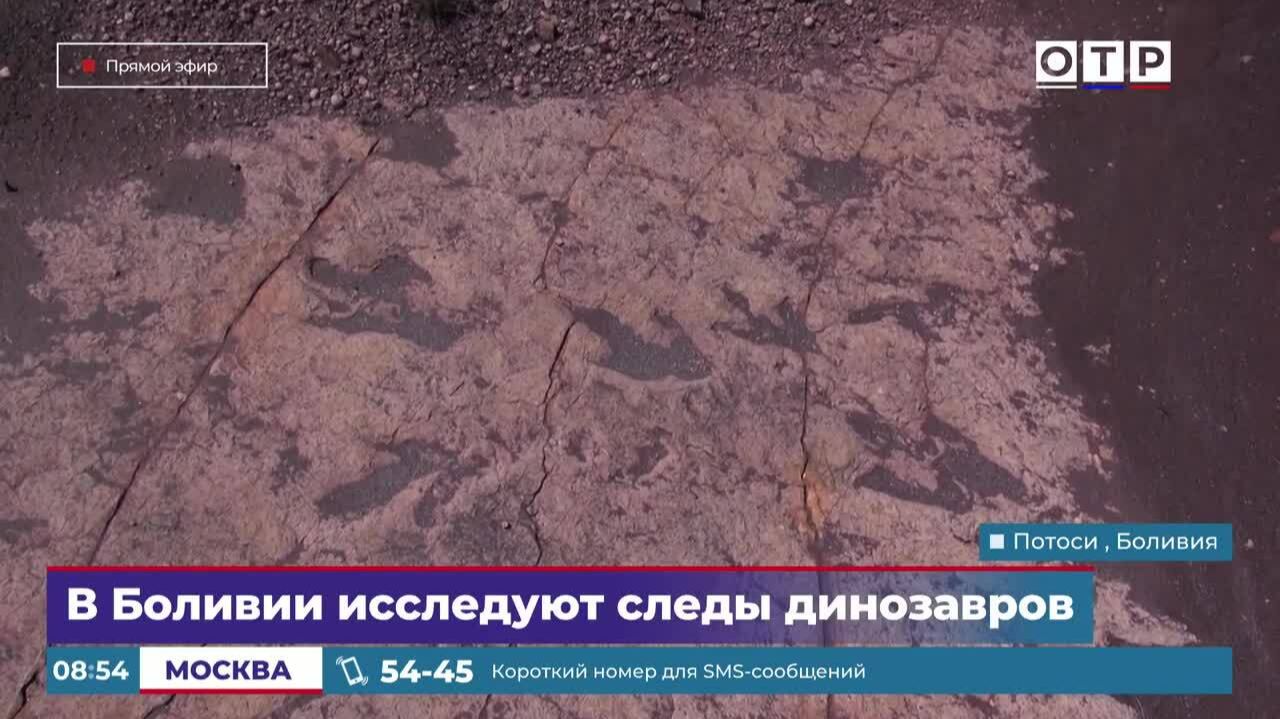 В Боливии исследуют следы динозавров