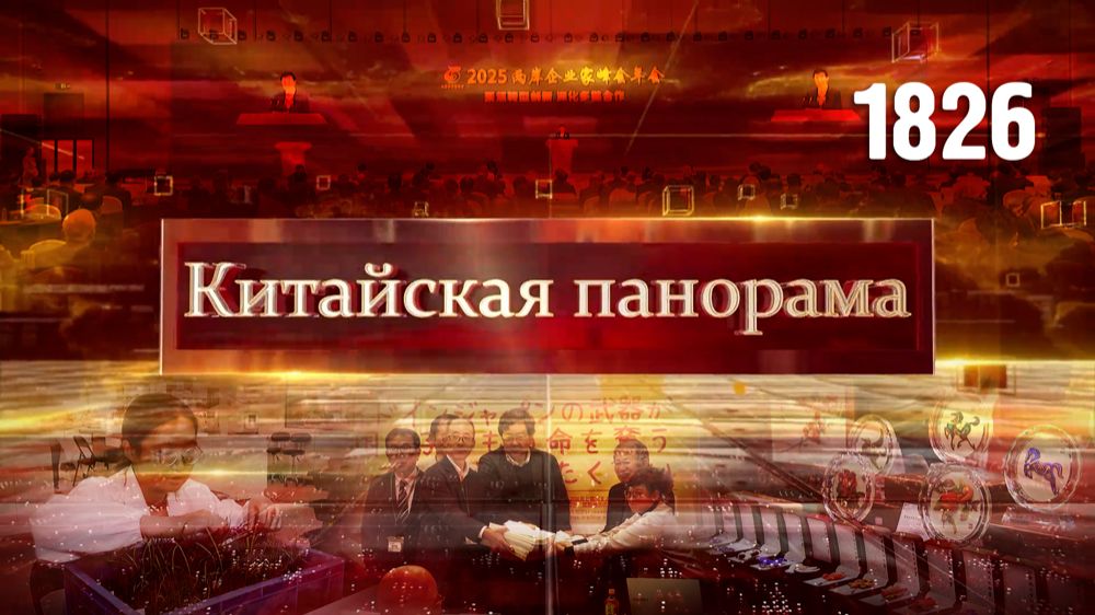 Саммит в Нанкине, против милитаризма, остров свободной торговли, новогодний приём – (1826)
