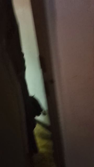 лифт Tyson krupp от koyo elevator 2017 год. Видео 26