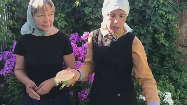 Огород вместо больницы. Матушка Ефросинья Мухамедзянова