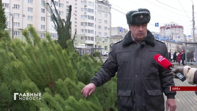 На 13 точках в Орле заработали ёлочные базары.