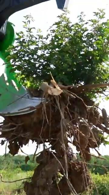 🟢 ST Корчеватель раскалыватель пней крокодил @OMEFGROUP на экскаваторы 12-35тн