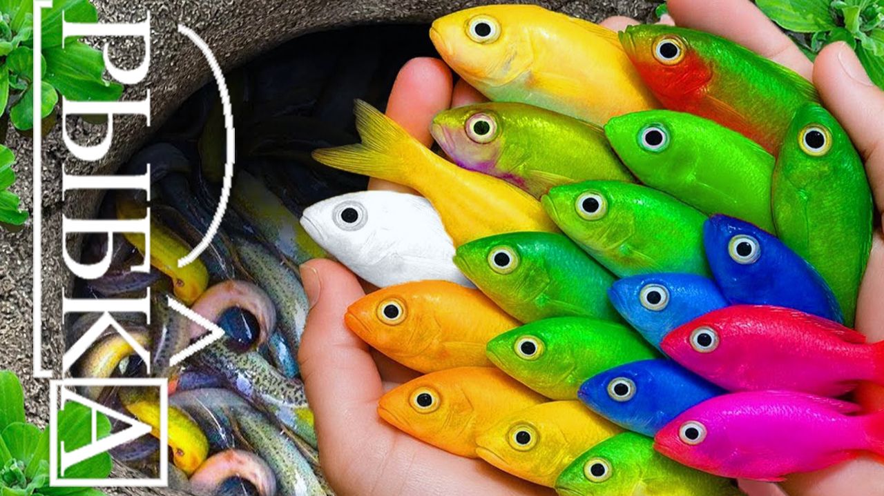 Мультики для детей и малышей про рыбок в реке. Ловим и рассматриваем вечером. Мультики про рыбок