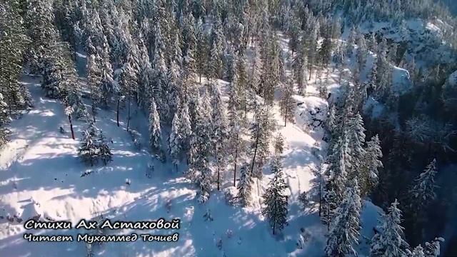 УТРО ИНГУШЕТИИ  22.12.25